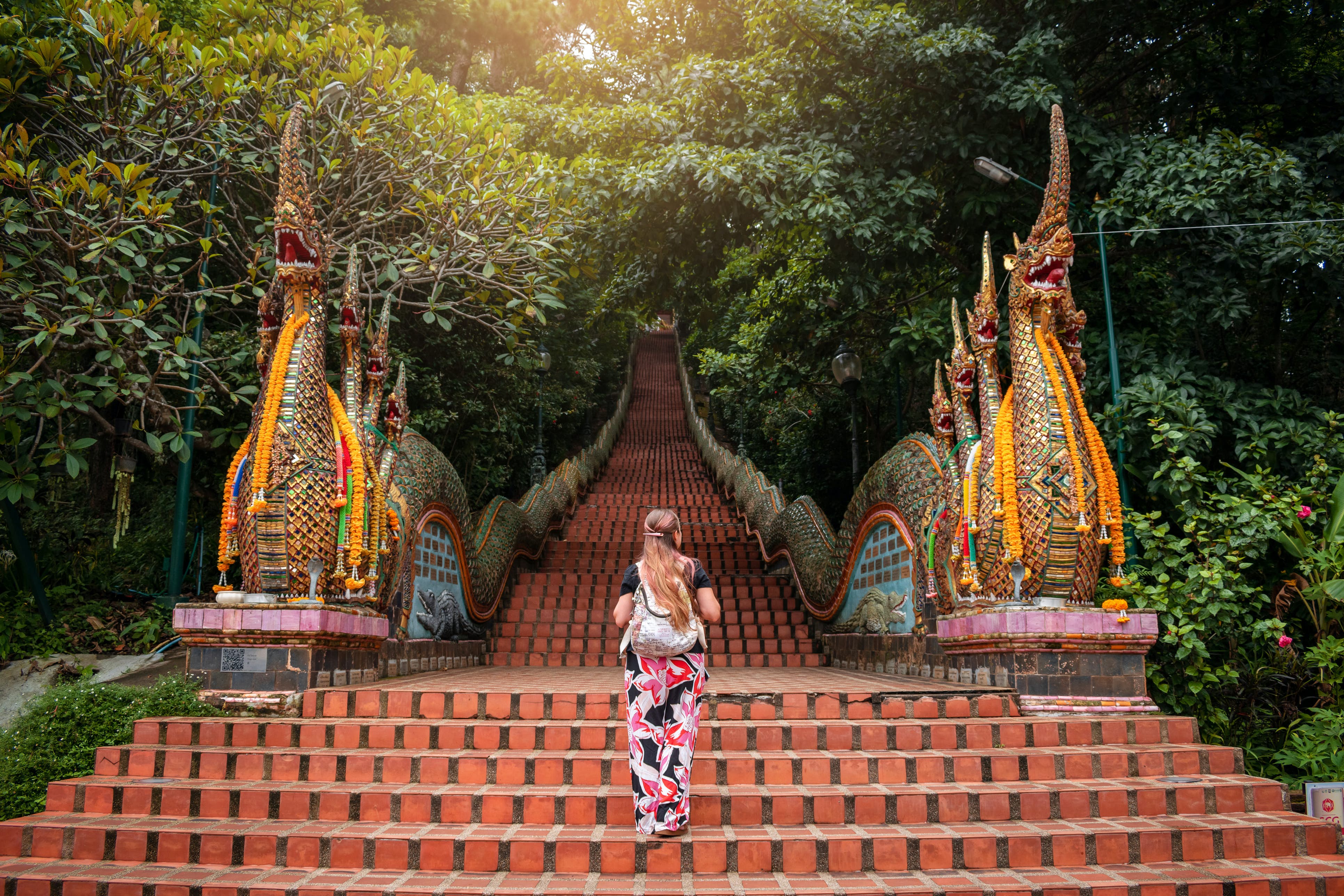 CHIANG MAI - ĐÓA HỒNG PHƯƠNG BẮC